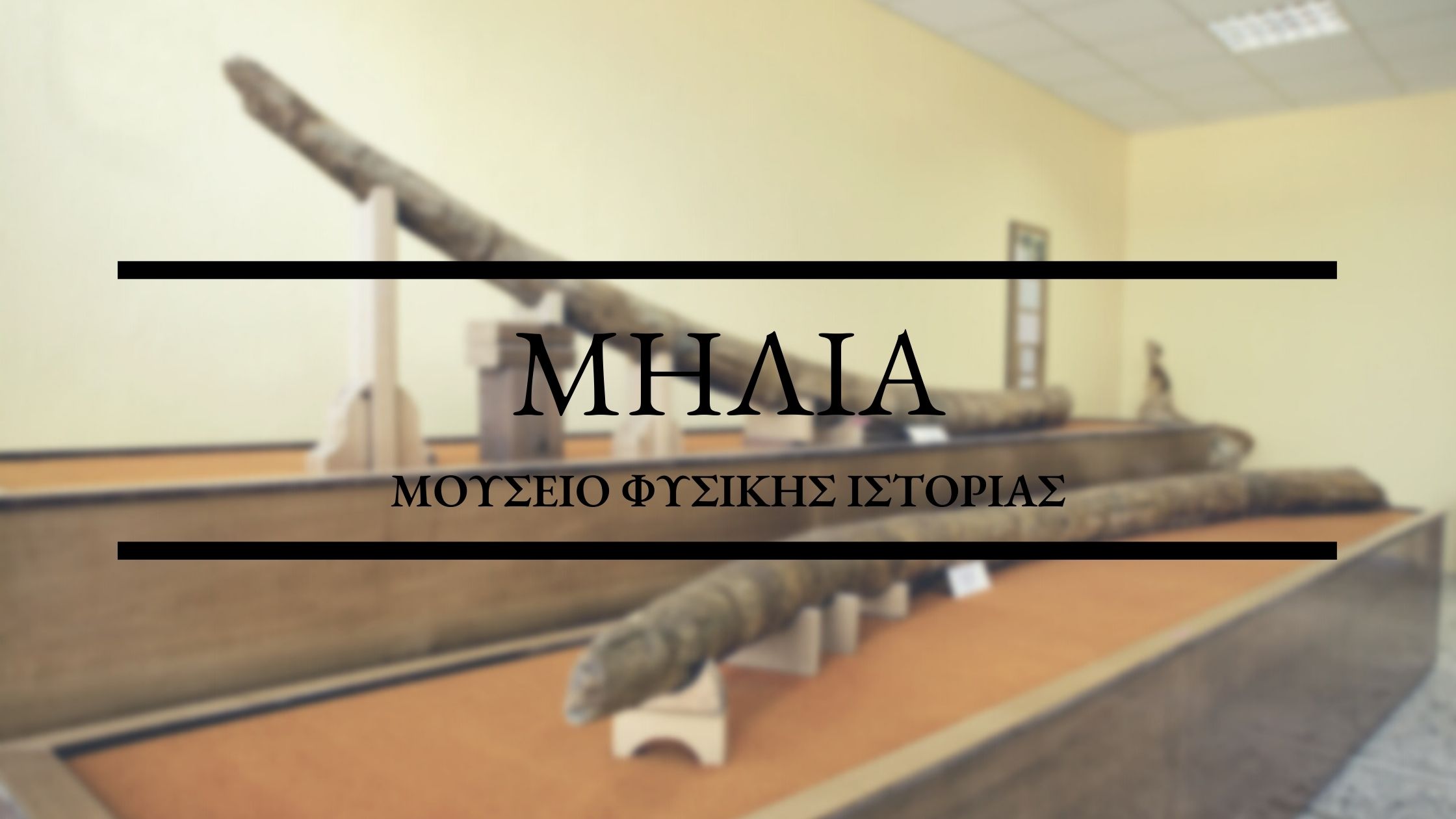 Μηλιά, στα ίχνη των προϊστορικών ελεφάντων | Μουσεία Δυτικής Μακεδονίας