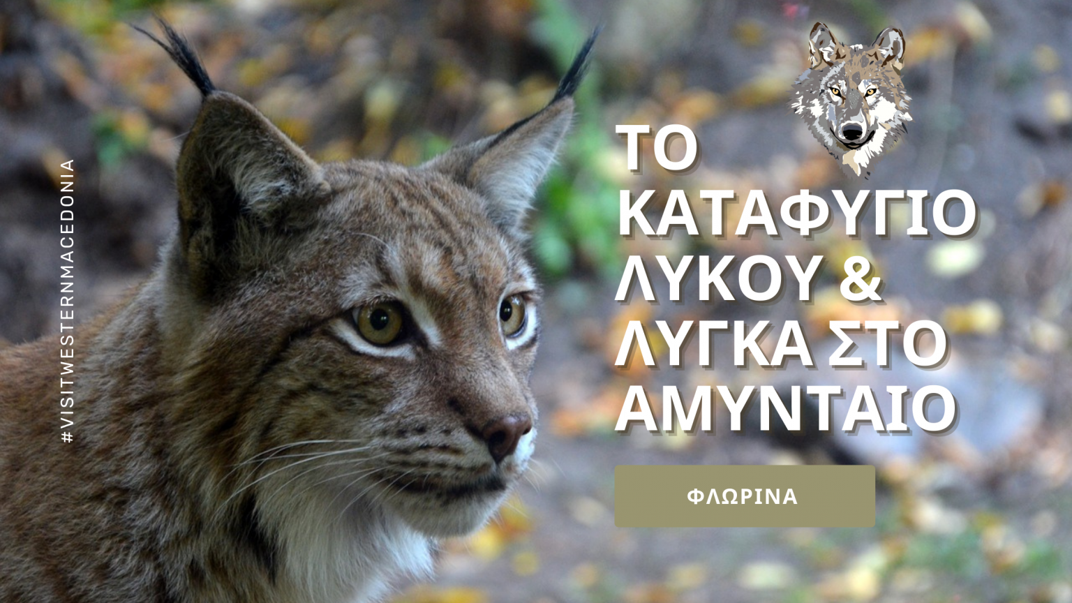 Αρχική Σελίδα - Visit Western Macedonia